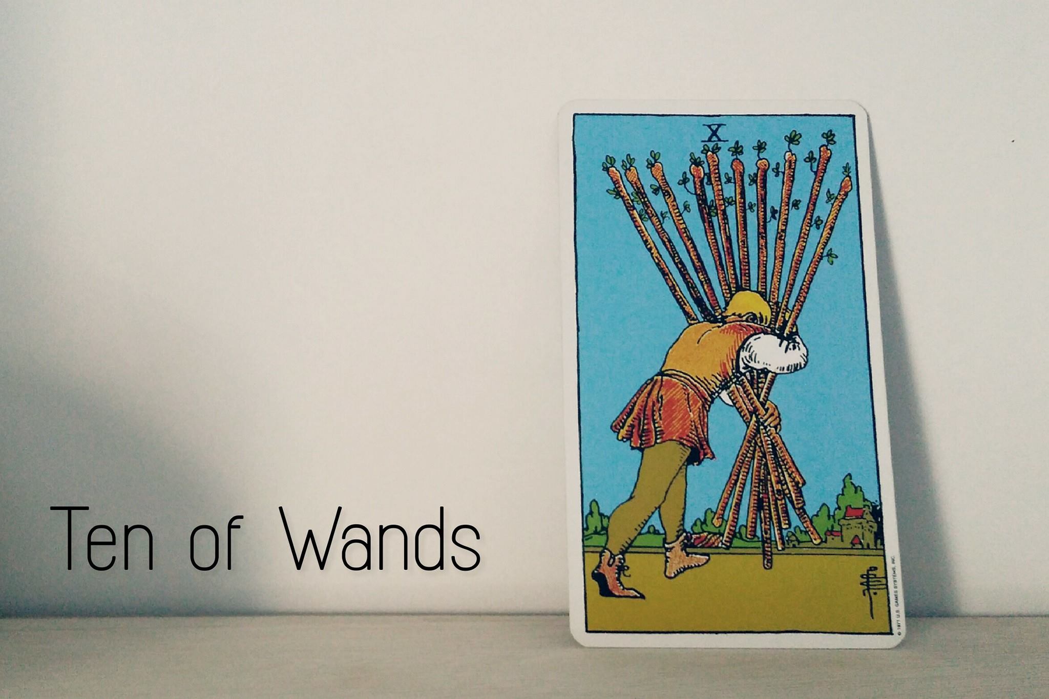 Ten of Wands (10 ไม้) การแบกรับความรู้สึกอันหนักหน่วง | Shitsuren Tarot